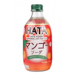 HATA Mango Soda 300m l EU Wholesale Trade | Best Bulk Deals